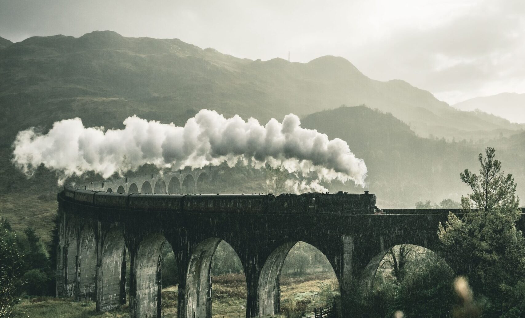 One Way Train - Daisyish Days